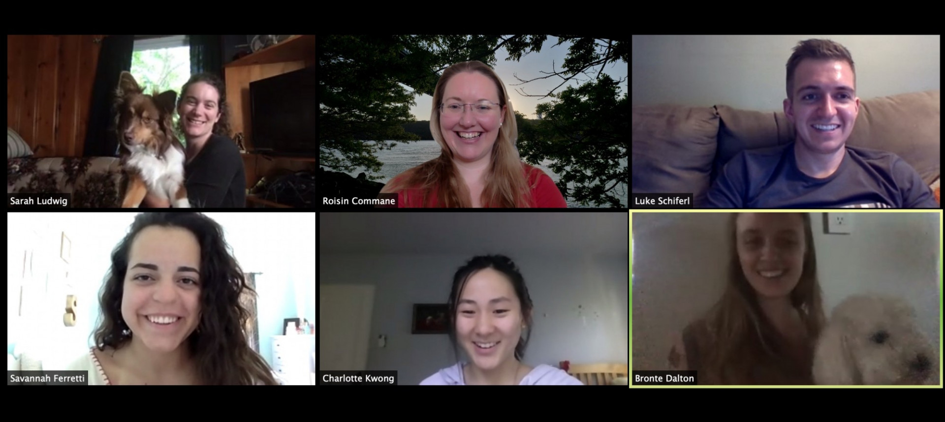 Summer research continues online | Atmospheric Composition Group